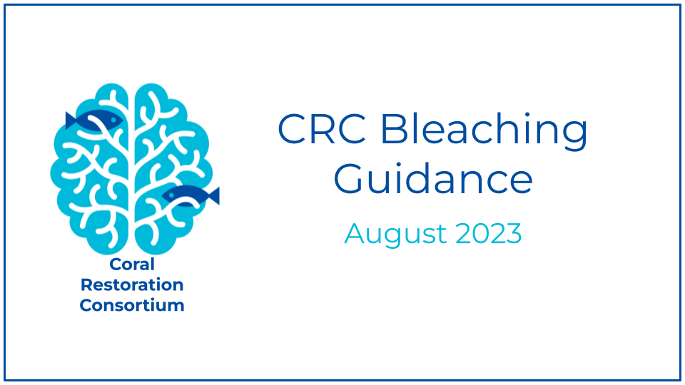 Coping With Bleaching In 2023 Slide Deck Crc